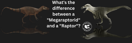 megaraptor size
