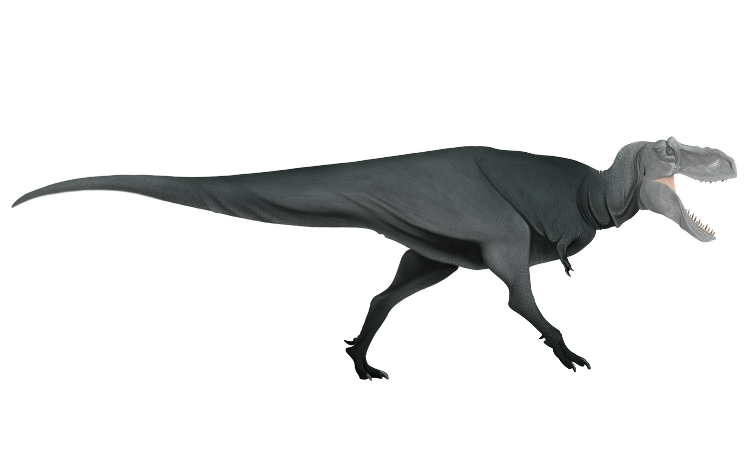 Dynamoterror we hardly knew ya! – Fossil Crates