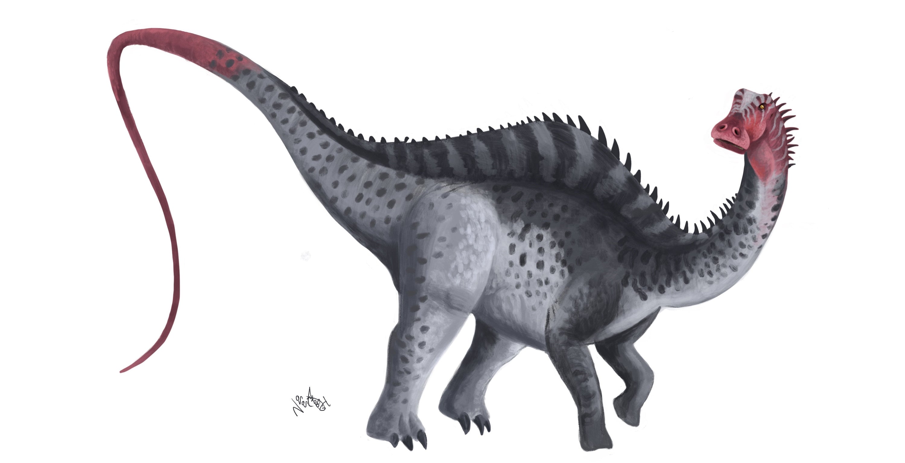 Rebbachisaurus, we'll always have Paris! – Fossil Crates