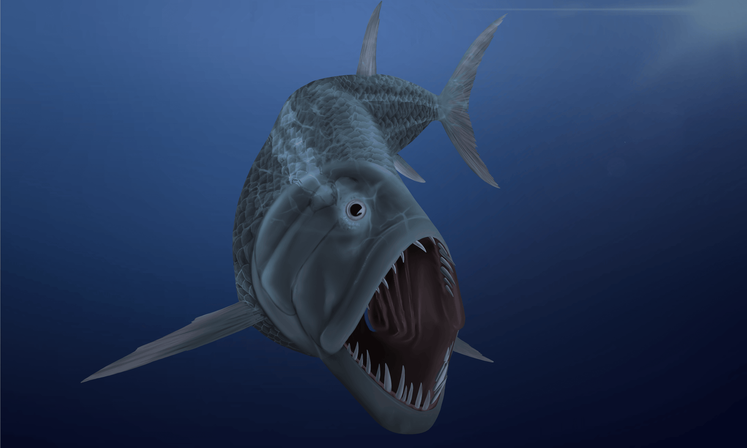 Xiphactinus audax endothermic? – Fossil Crates