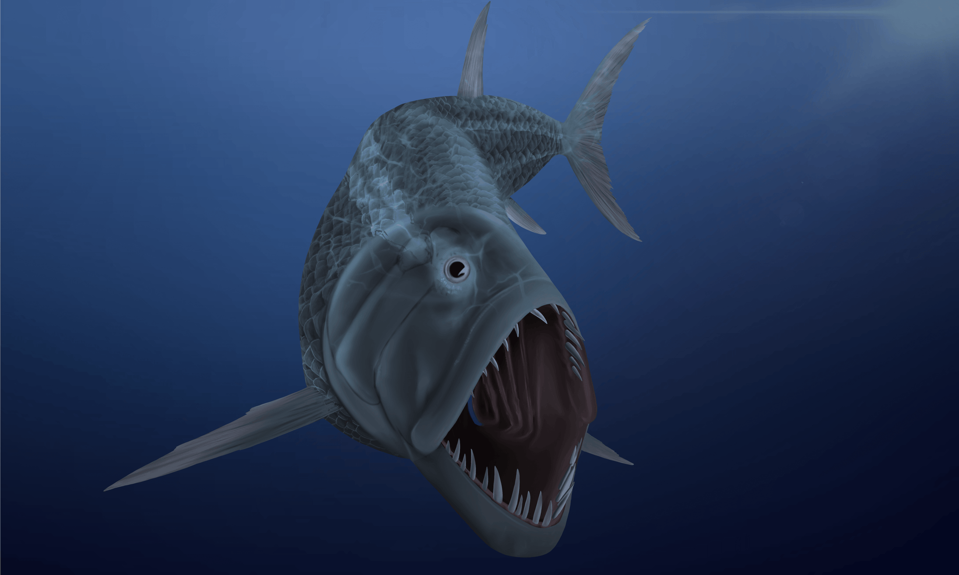 Xiphactinus Size Bonhams Kansas King Fish Formidable Fossil Fish