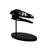 Compsognathus Skull Sculpt – Fossil Crates