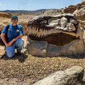 Total T. rex – Fossil Crates