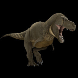 Total T. rex – Fossil Crates